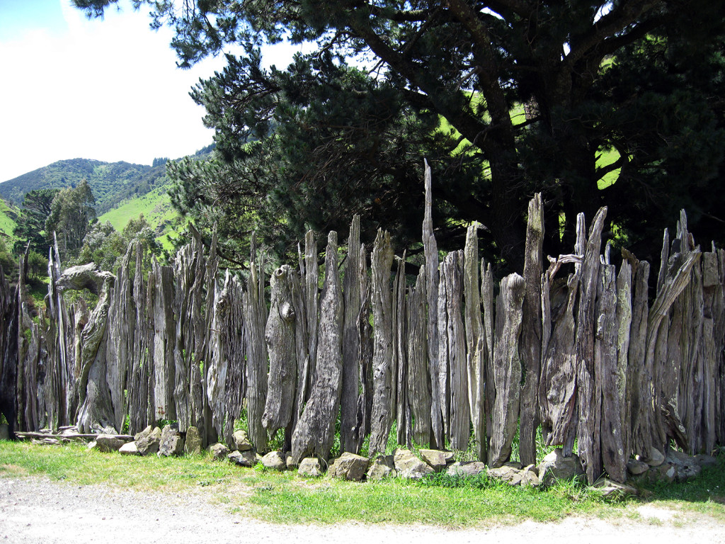 Totarol - Pure Advantage