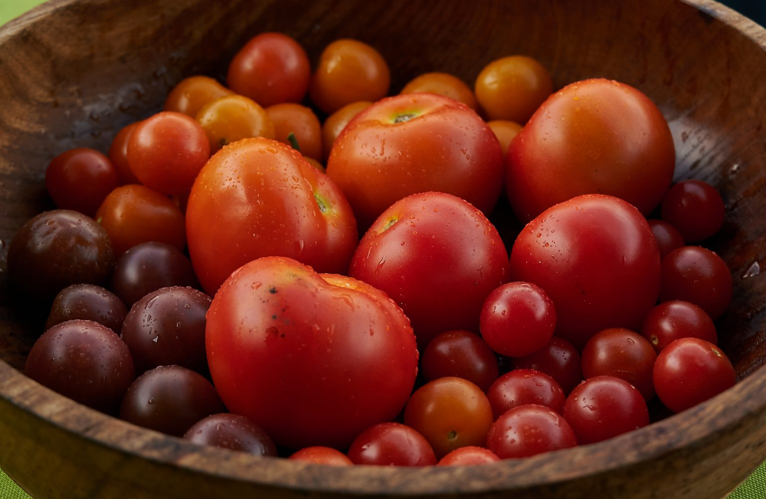 Horticultural Nutrient Cycling with Kay Baxter - Pure Advantage