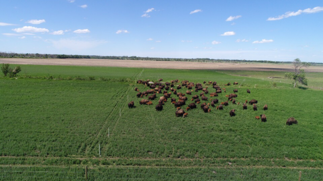 Lessons from the Canadian Prairies with Erin Crampton - Pure Advantage