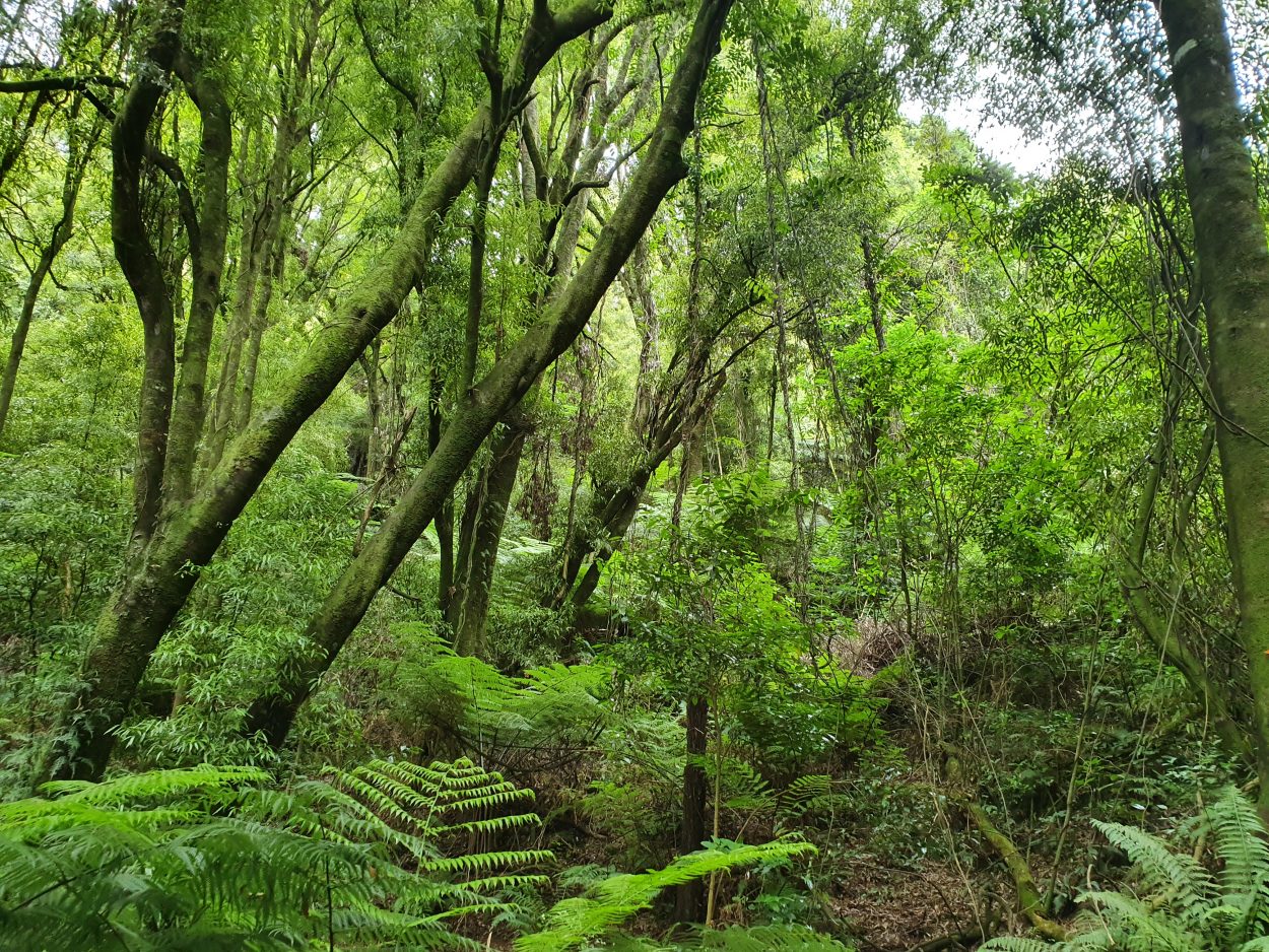 Conservation on Private Land is More Common than You Think - Pure Advantage