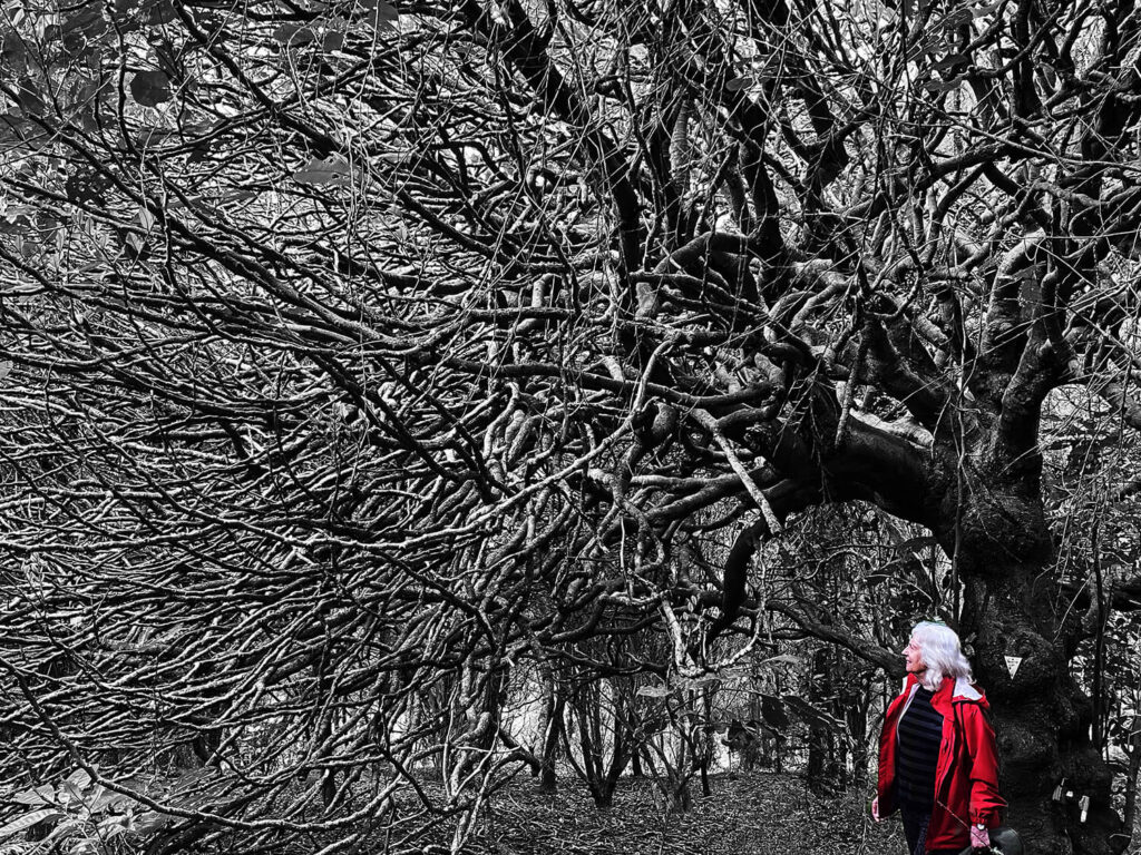 O Tātou Ngahere - Pure Advantage