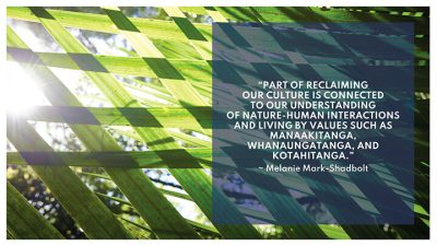 O Tātou Ngahere Conference: Summary - Pure Advantage