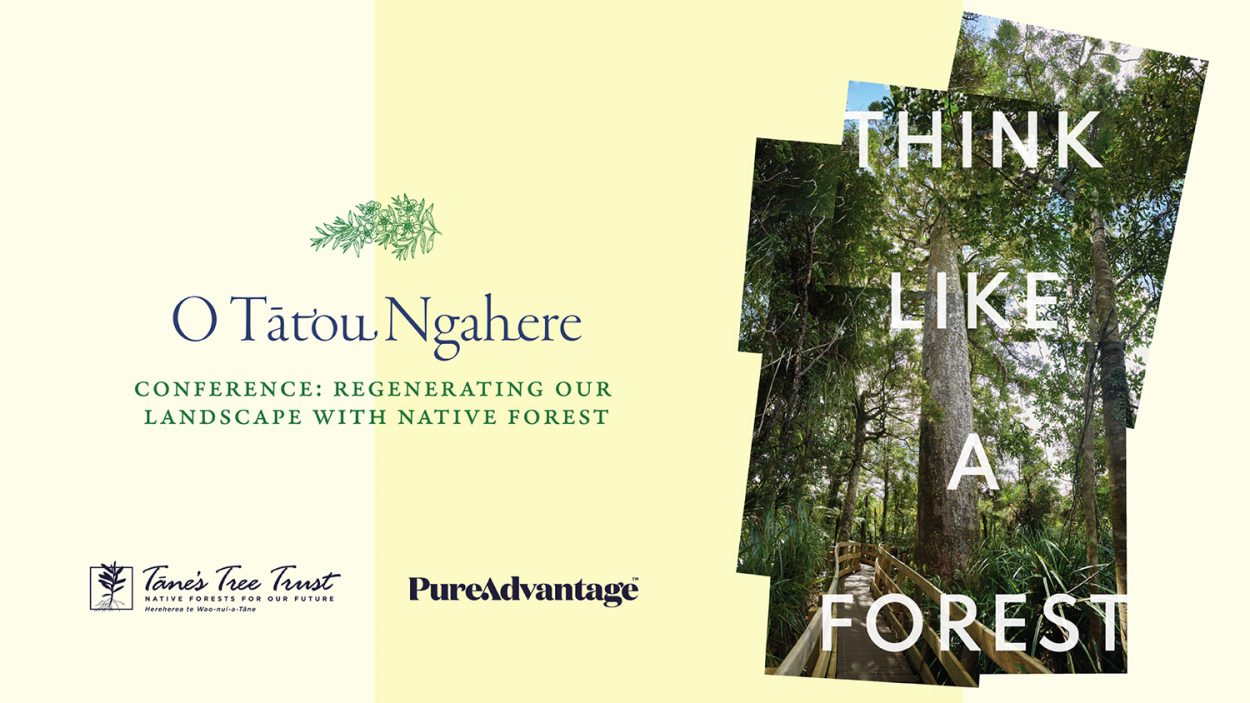 O Tātou Ngahere Conference: Summary - Pure Advantage